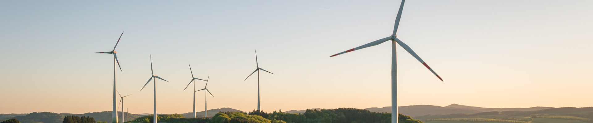 WVV: Ihr Ansprechpartner aus der Region